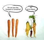 Why Your Carrots Look Wonky: Splits, Twists, and Other Deformities ...