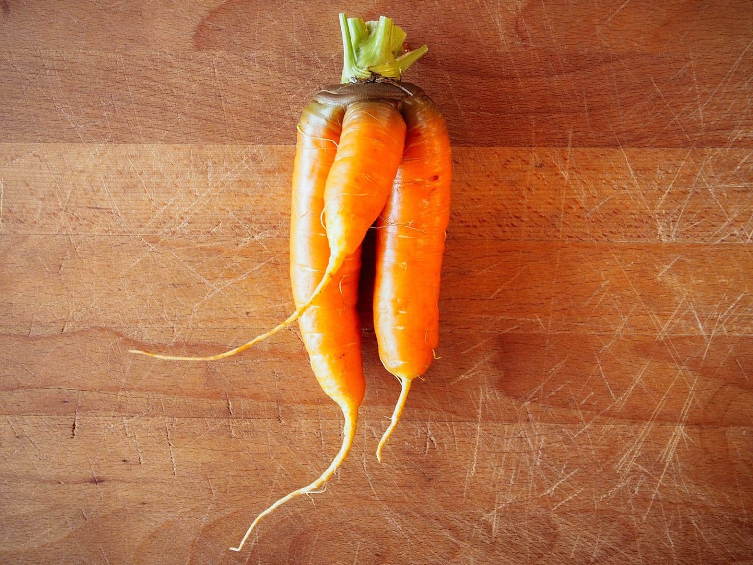 Why Your Carrots Look Wonky: Splits, Twists, and Other Deformities ...