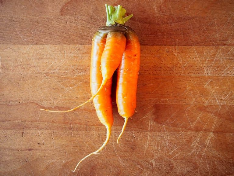 Why Your Carrots Look Wonky: Splits, Twists, and Other Deformities ...