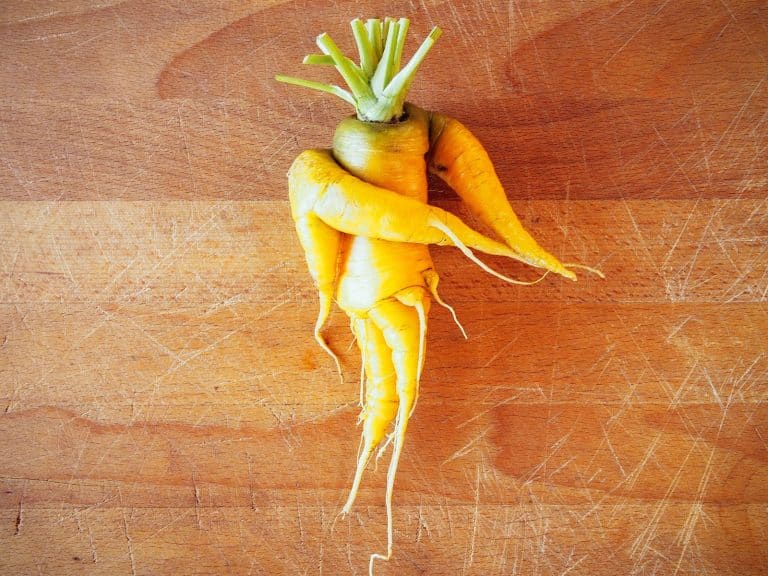 Why Your Carrots Look Wonky: Splits, Twists, and Other Deformities ...
