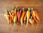 Why Your Carrots Look Wonky: Splits, Twists, and Other Deformities ...