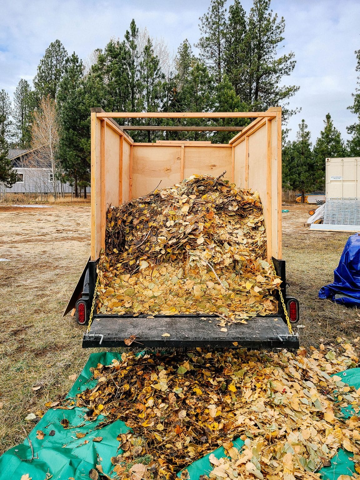 5 Ways to Use Fall Leaves to Recharge Your Garden Soil - Garden Betty