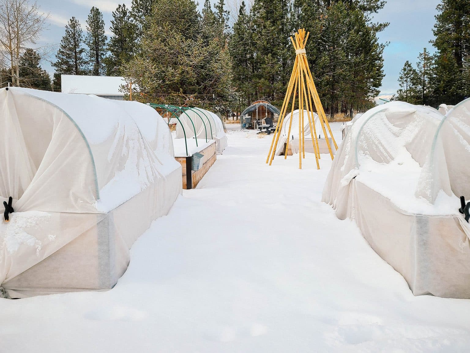 Row Covers: What To Use in the Garden and Why - Garden Betty