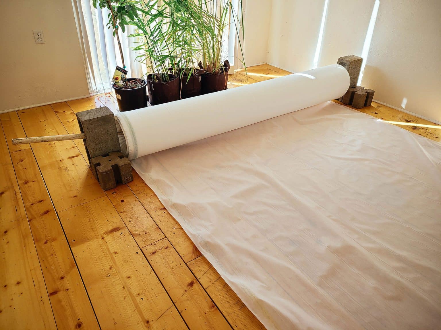 Row Covers: What To Use in the Garden and Why - Garden Betty