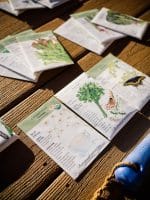 43 Seeds You Can Direct Sow in the Garden BEFORE the Last Frost ...