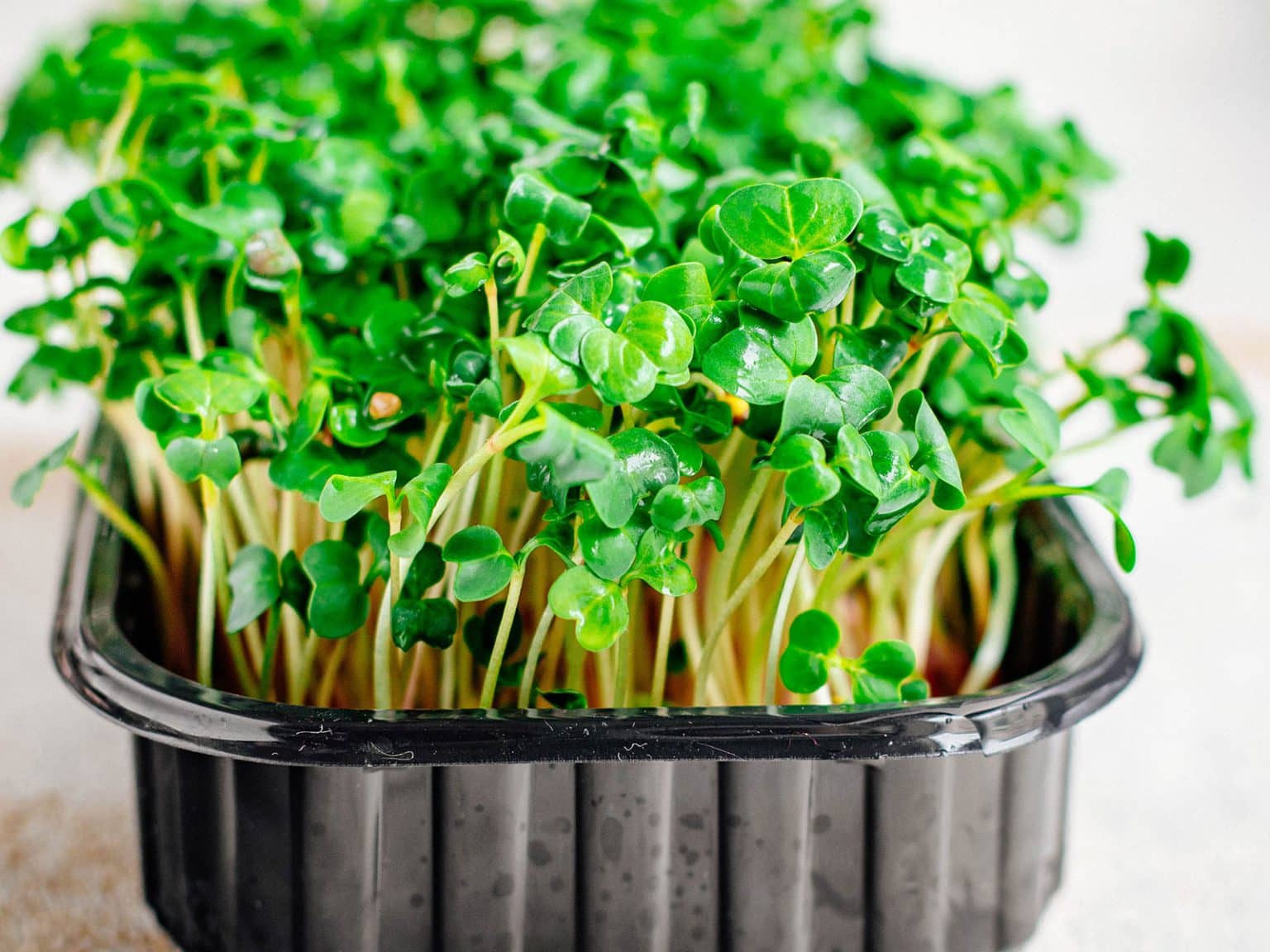 Are You Growing These Powerhouse Vegetables? - Garden Betty