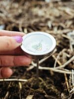 Soil Temperature Chart for Seed Germination - Garden Betty