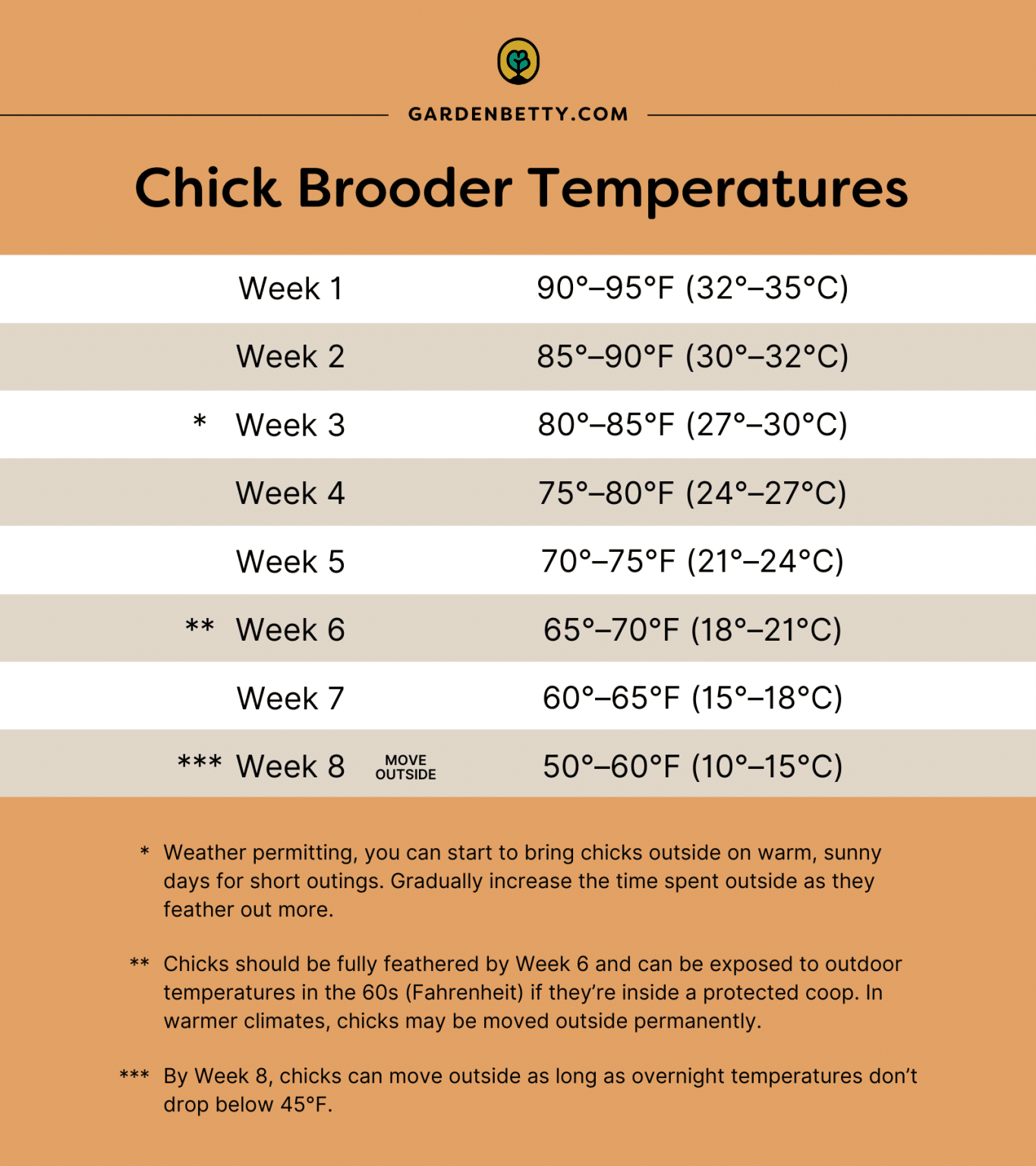 How To Raise Healthy Baby Chicks Garden Betty