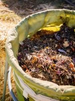 The Easiest Way to Make Leaf Mold to Improve Your Soil - Garden Betty
