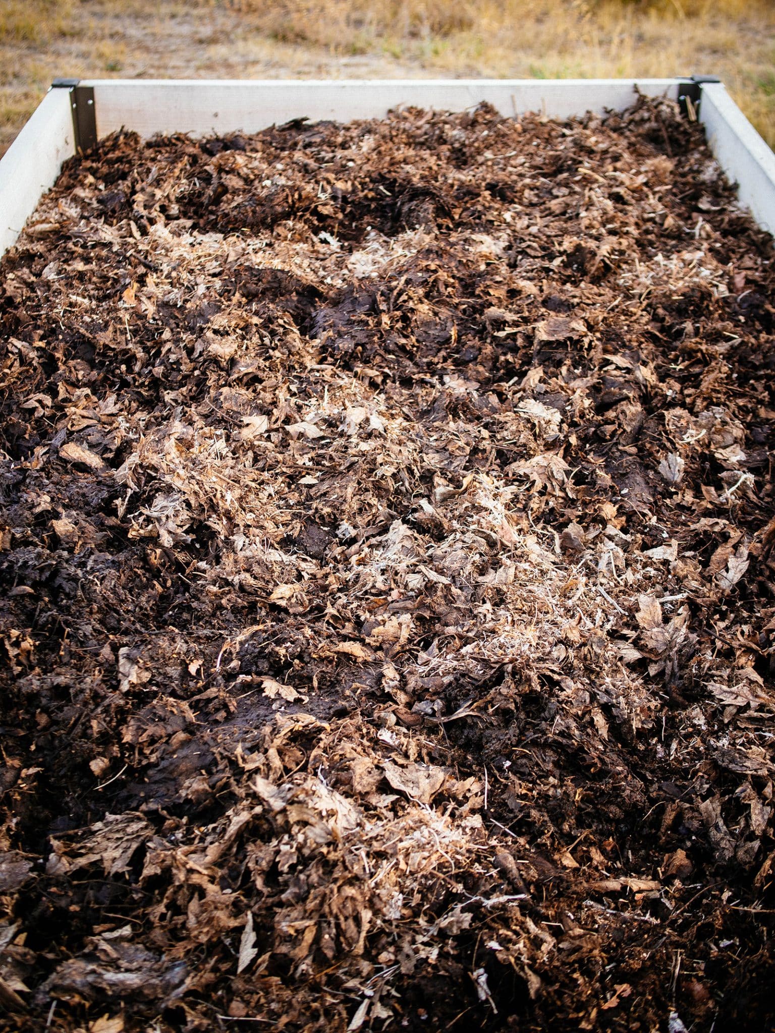 The Easiest Way to Make Leaf Mold to Improve Your Soil - Garden Betty