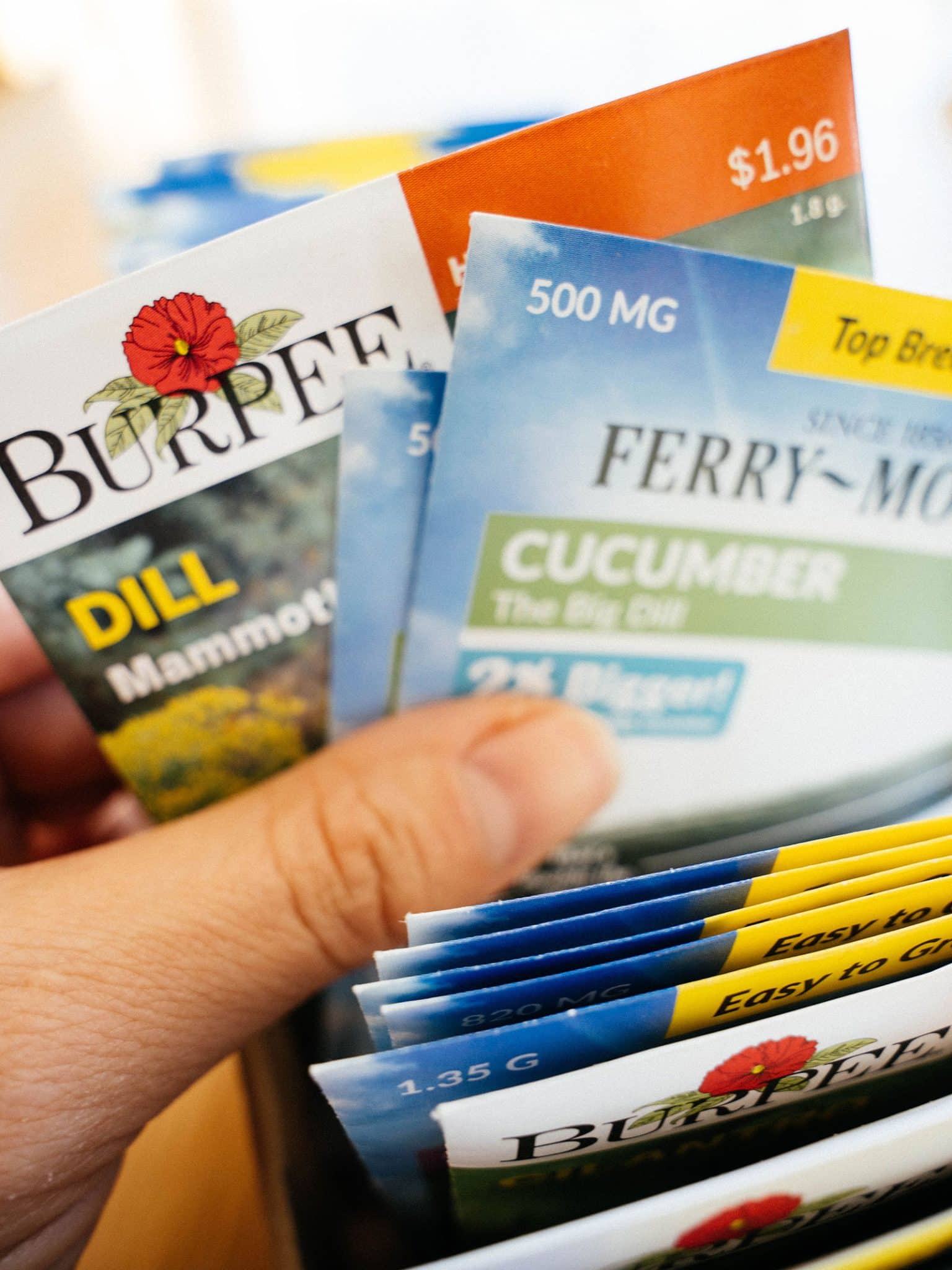 Where to Find Quality Seeds For Free or Cheap - Garden Betty