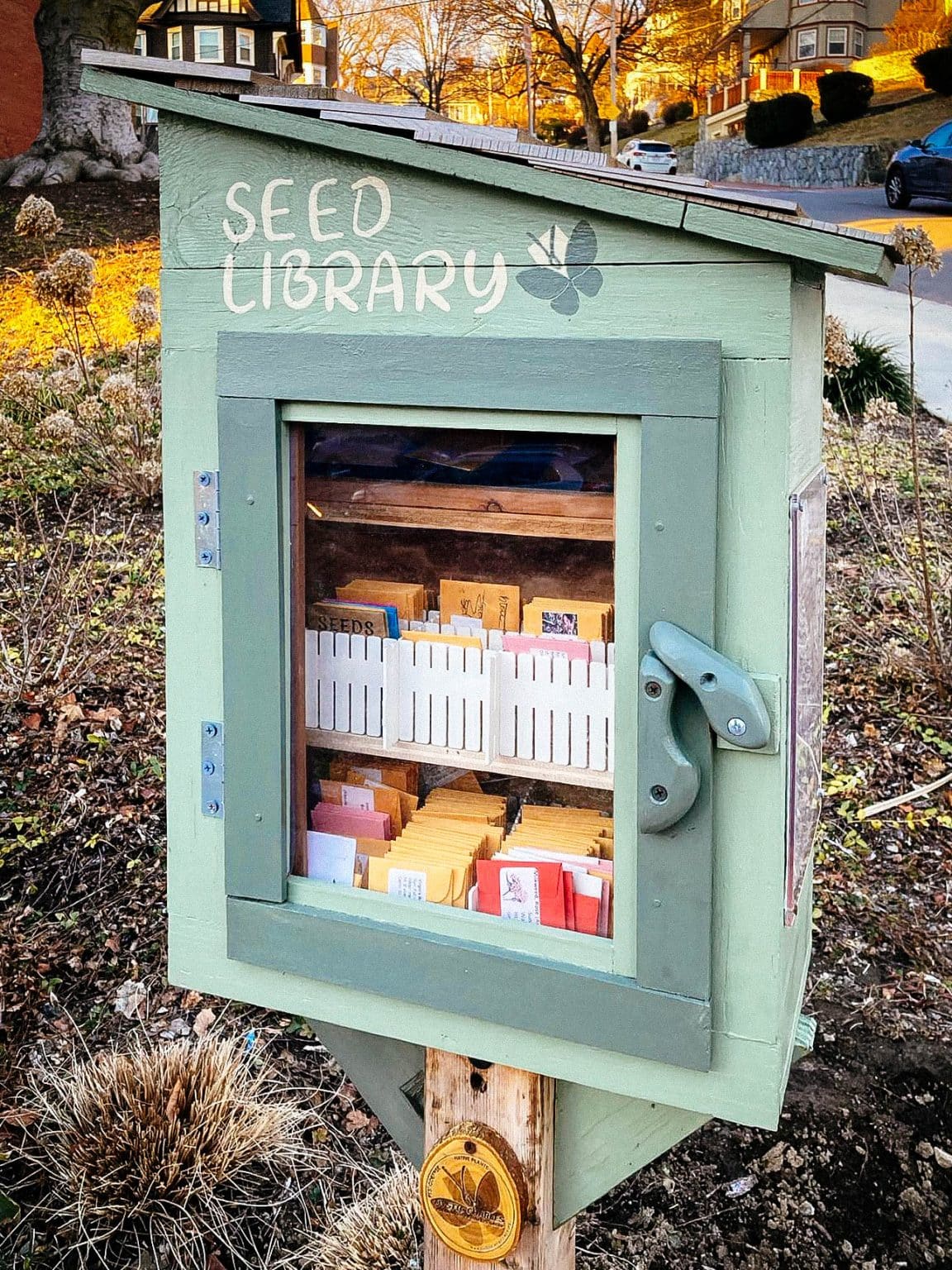 Where to Find Quality Seeds For Free or Cheap - Garden Betty