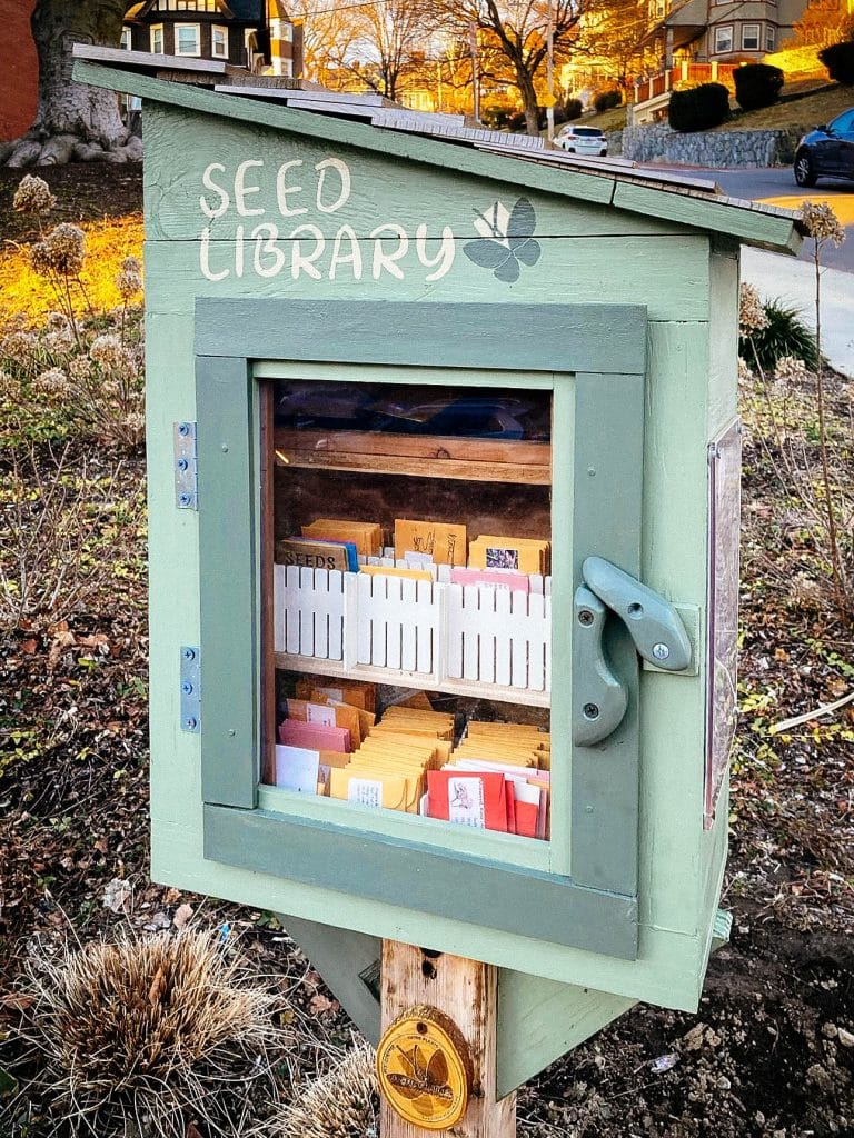 Where to Find Quality Seeds For Free or Cheap - Garden Betty