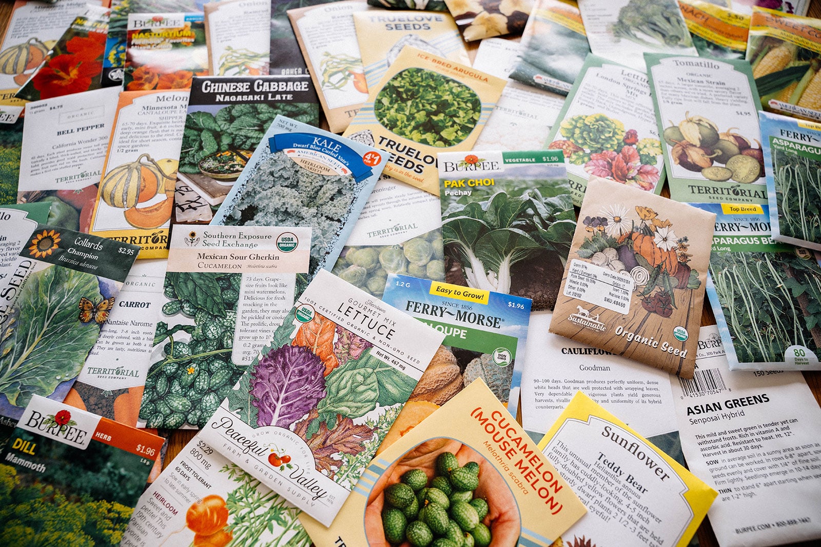 Where to Find Quality Seeds For Free or Cheap - Garden Betty