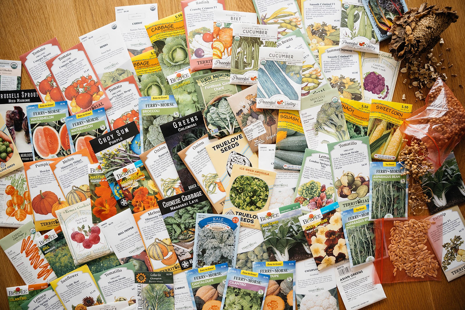 Don't Make These 5 Mistakes When Buying Seeds - Garden Betty