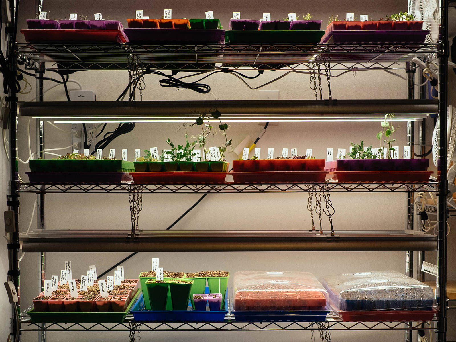 A Simple Guide to LED Grow Lights for Seed Starting - Garden Betty